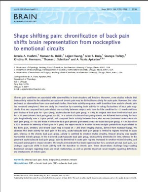 Shape-Shifting Pain: chronification of back pain shifts brain ...